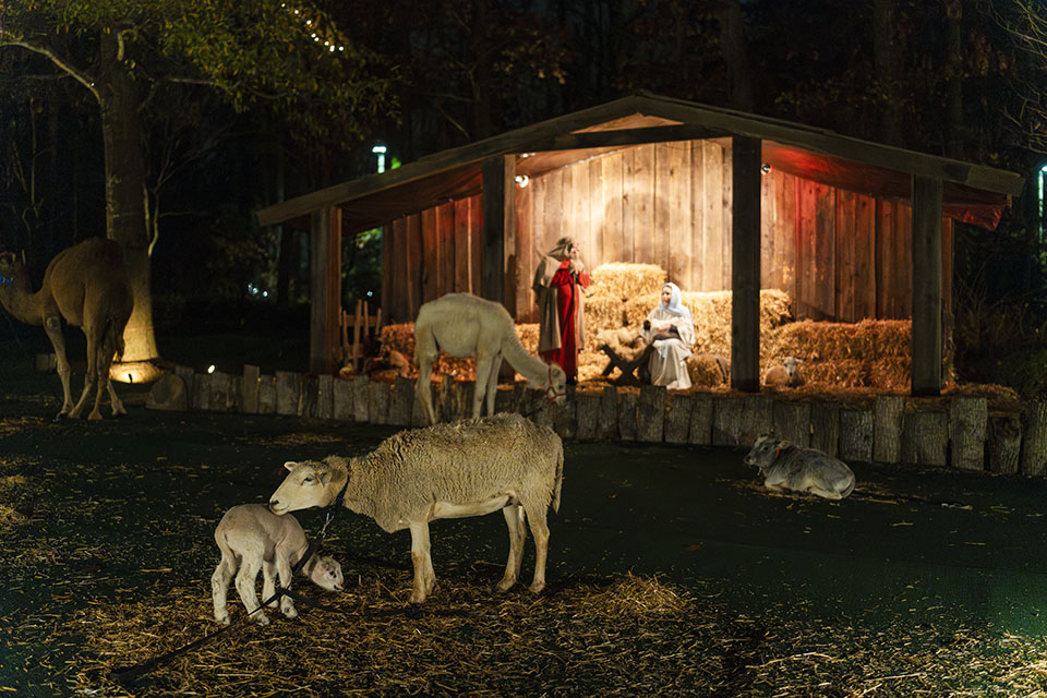 Animals Bring Joy to Children at 'Christmas at the Library'