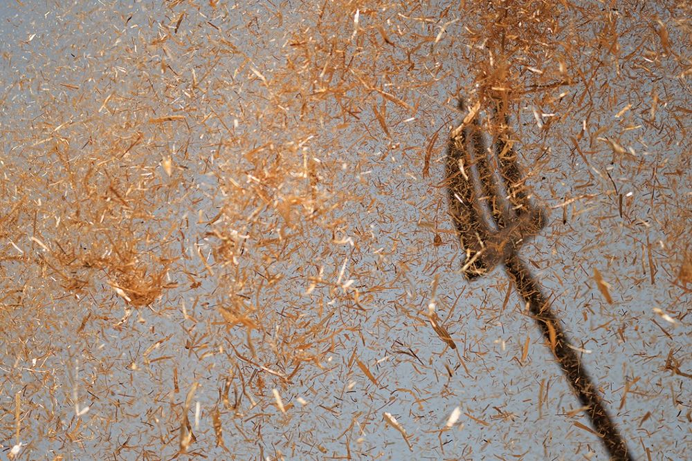 'Be Still, and Know That I Am God'