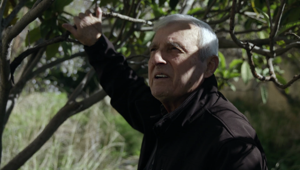 “Preach the Gospel, no matter what happens!”