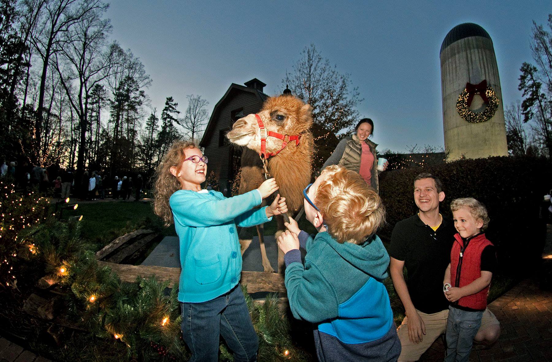 Library-camel-and-kids