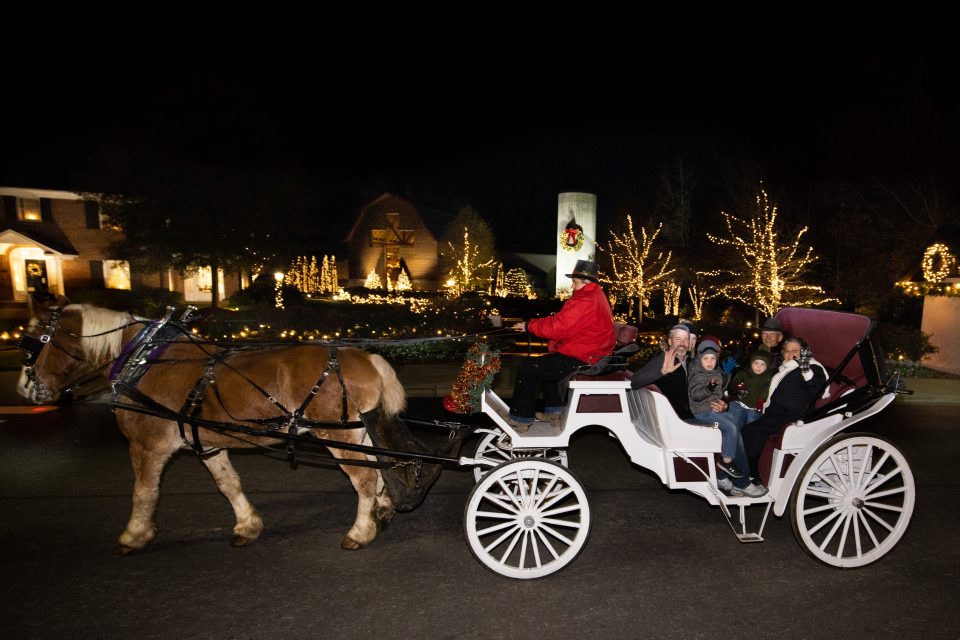 20145_TP1_9904_web-960x640