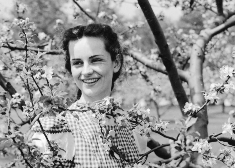 From the Collection of Ruth Bell Graham: Handwritten Poetry - The Billy ...