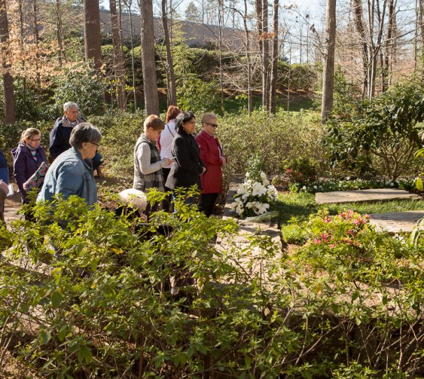 Home - The Billy Graham Library
