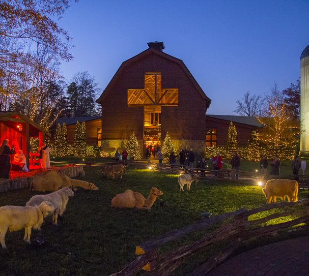 Home - The Billy Graham Library