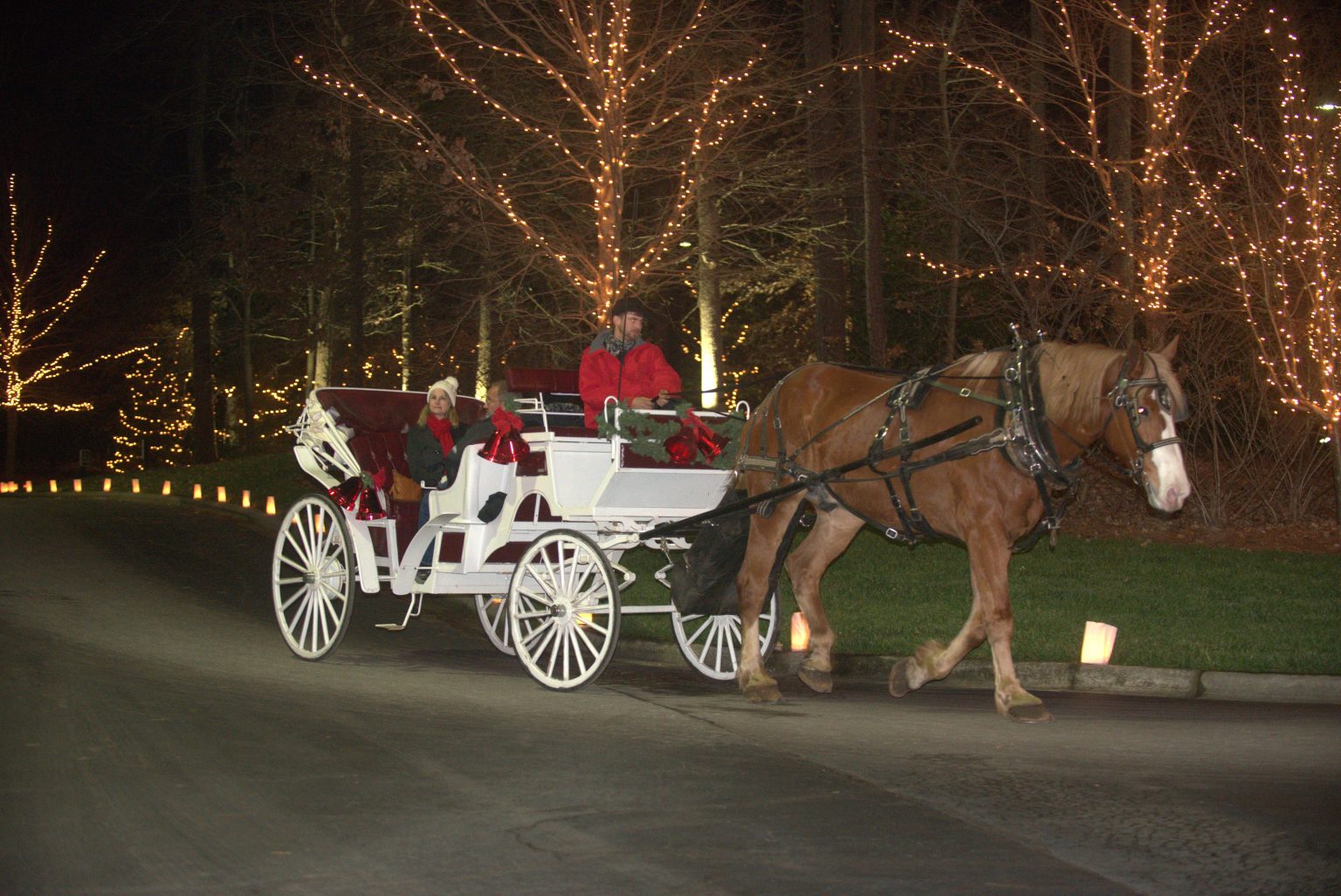 Help Spread Hope at Christmas - The Billy Graham Library Blog
