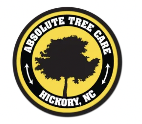 Absolute Tree Care - The Light FM